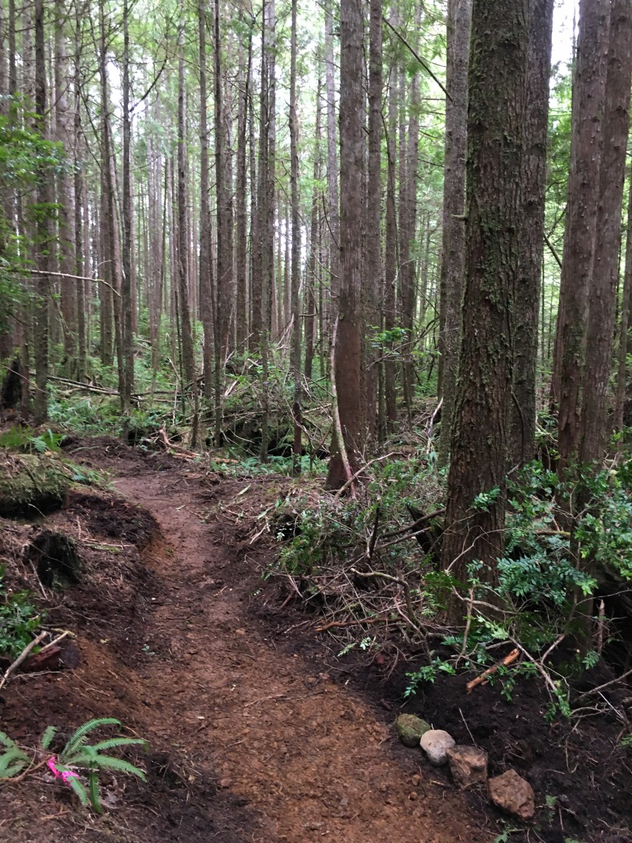 Sleepers and stringers – OldPlaidCamper